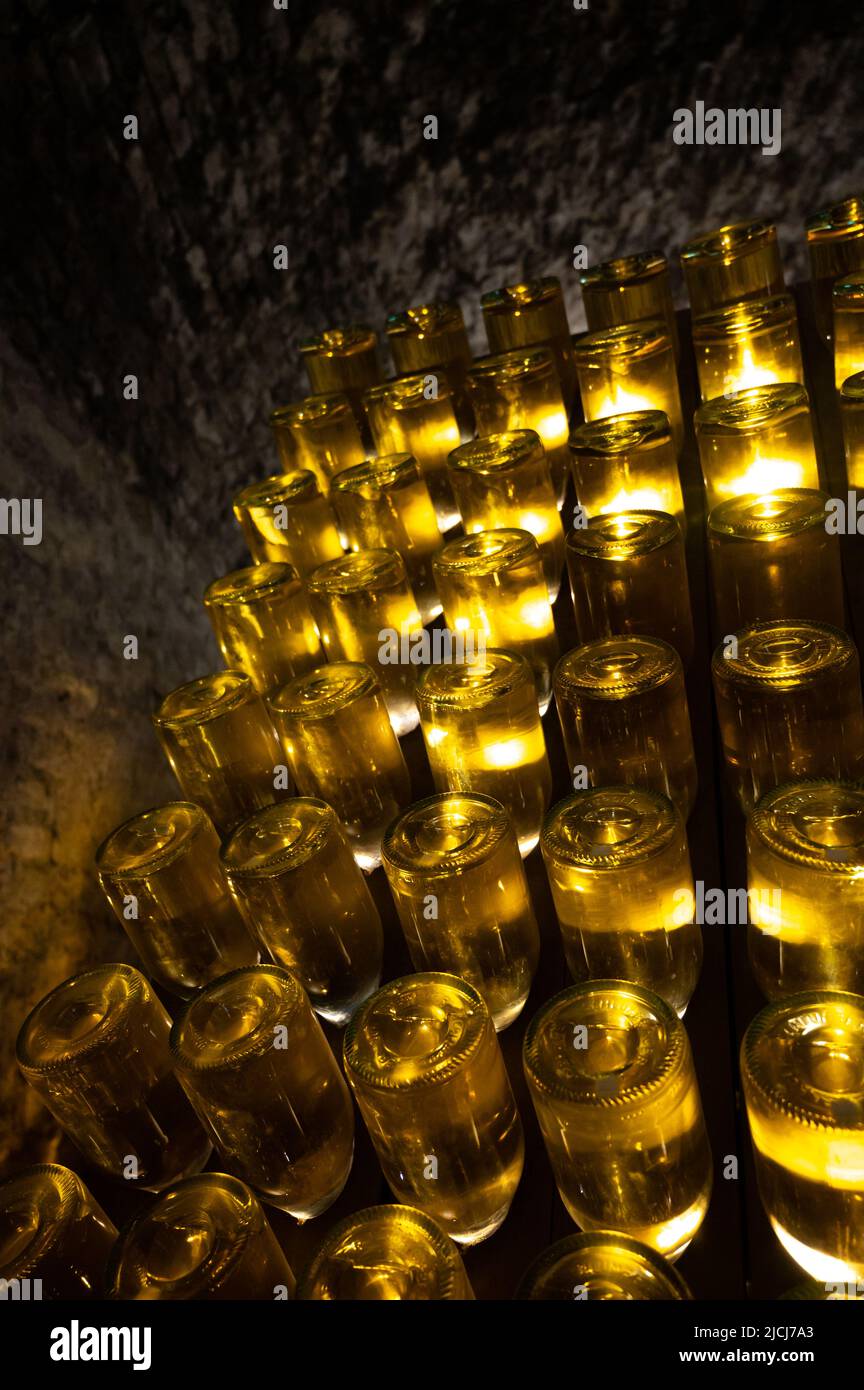Sparkling white and rose wine production by traditional method in ...