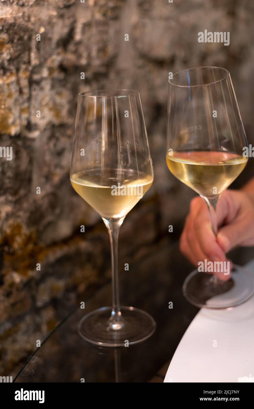 Tasting of brut champagne sparkling wine produced by traditional method in underground caves ...