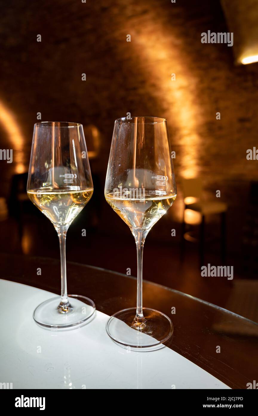 Tasting of brut champagne sparkling wine produced by traditional method in underground caves ...