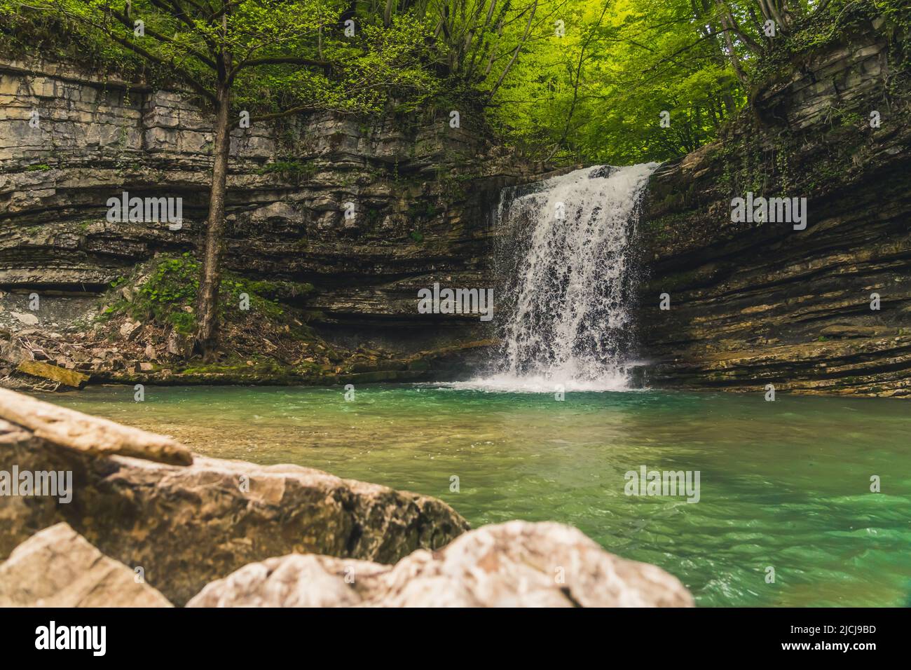 beautiful stunning small and fresh waterfall in the forest in the ...