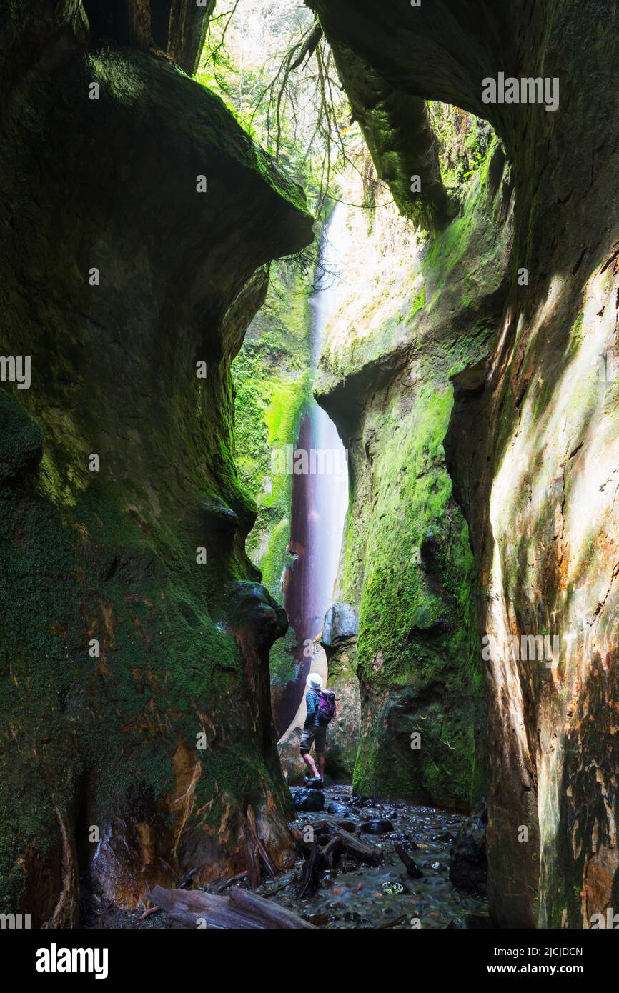 Hidden waterfall vancouver island hi-res stock photography and images ...