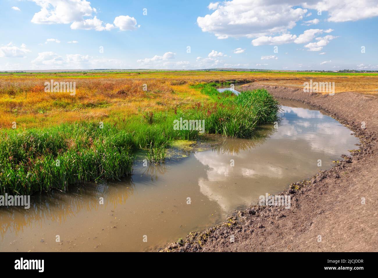 Small river with muddy water . Dirty river shore Stock Photo - Alamy