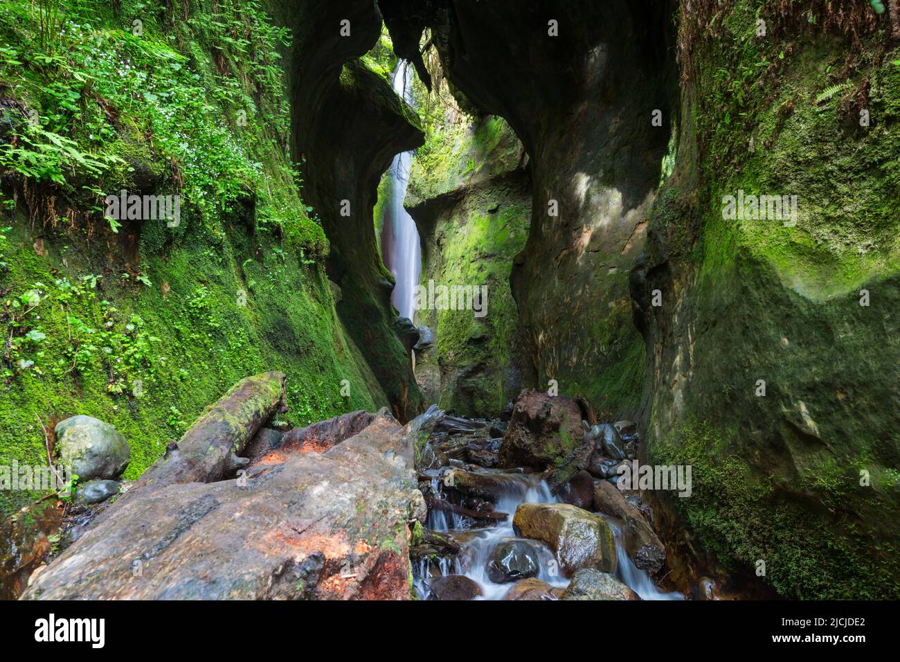Hidden waterfall vancouver island hi-res stock photography and images ...