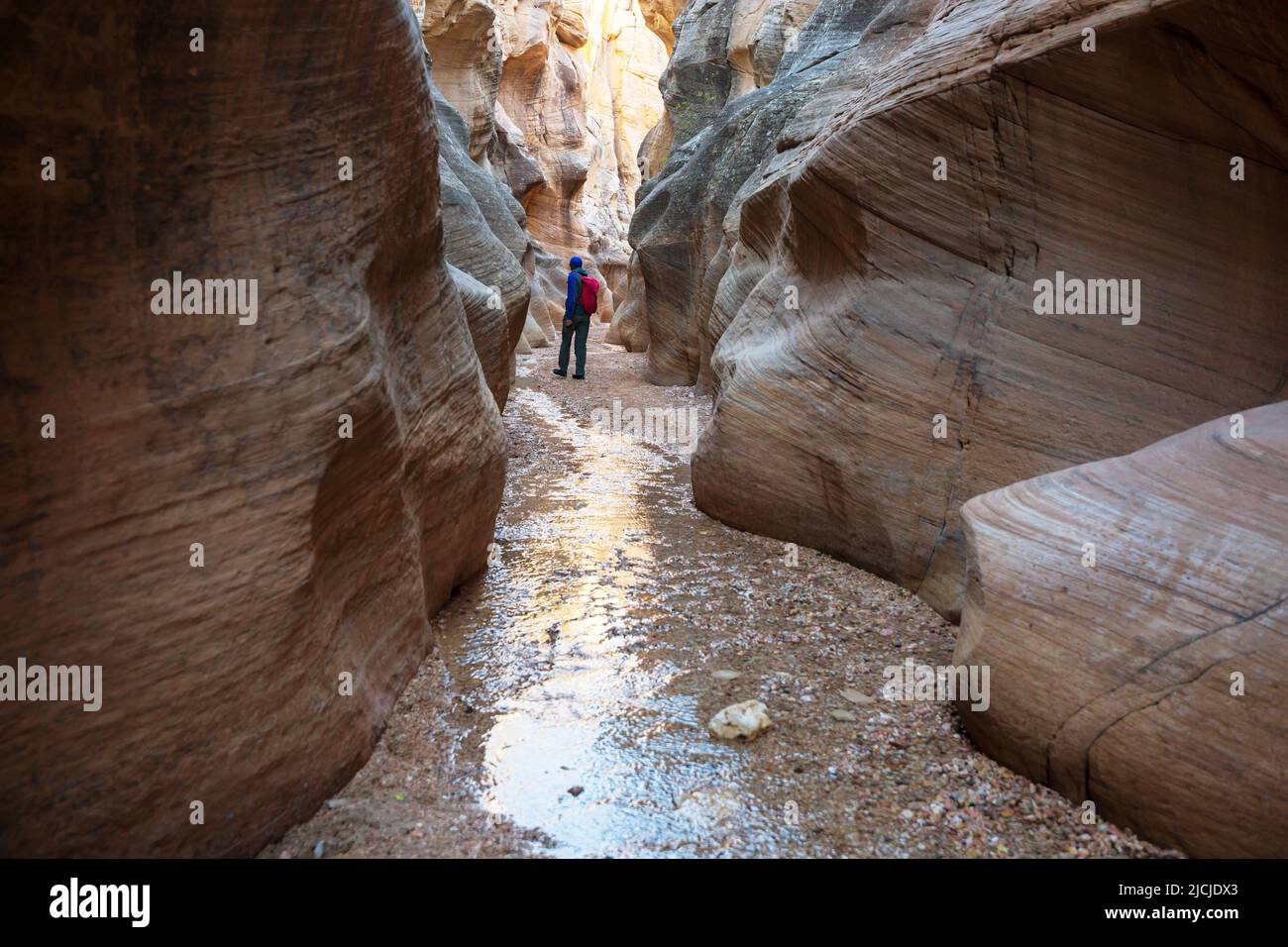 Slot canyon in Grand Staircase Escalante National park, Utah, USA ...