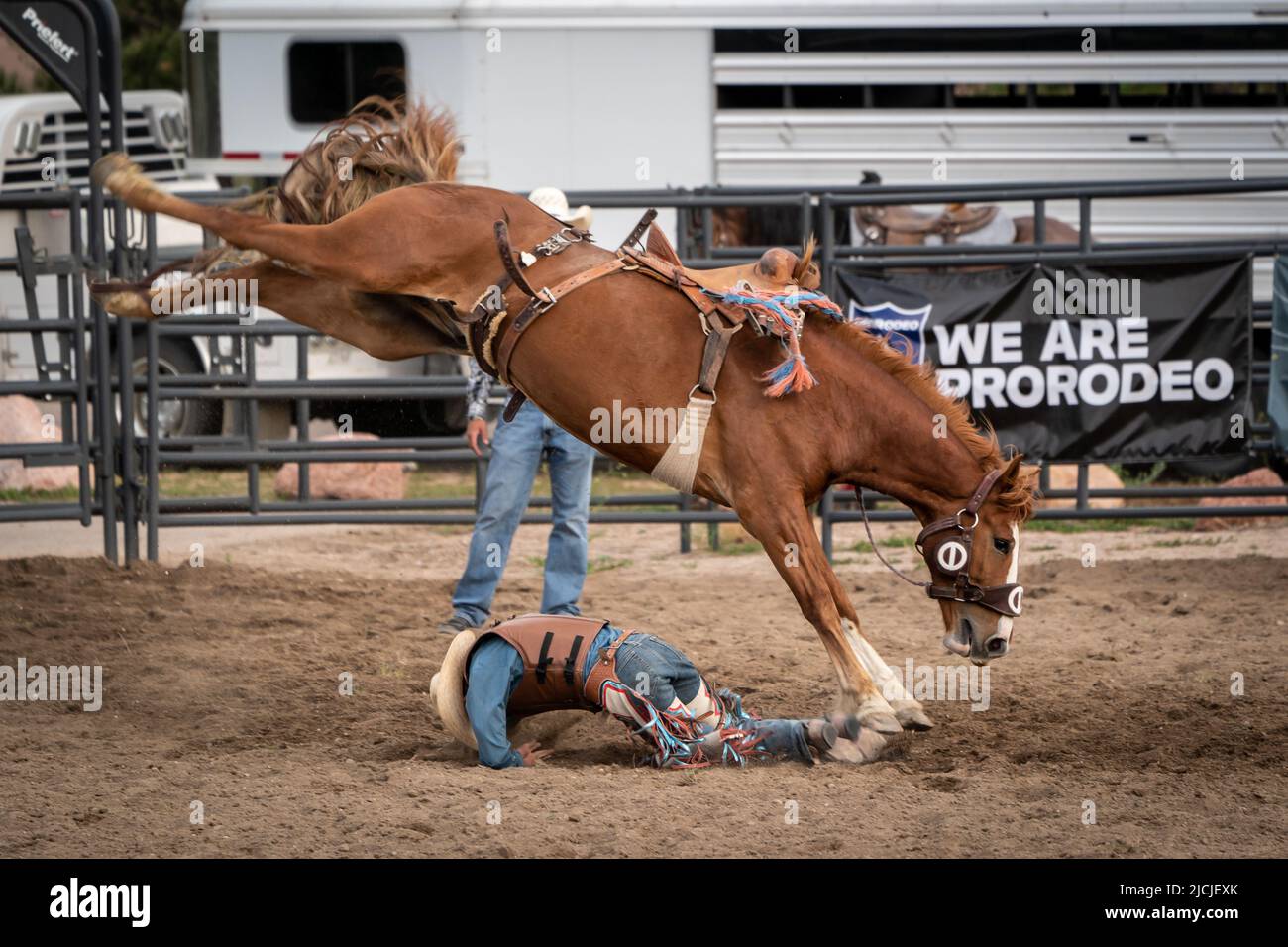 Rodeo in Colorado Springs, Colorado Stock Photo - Alamy