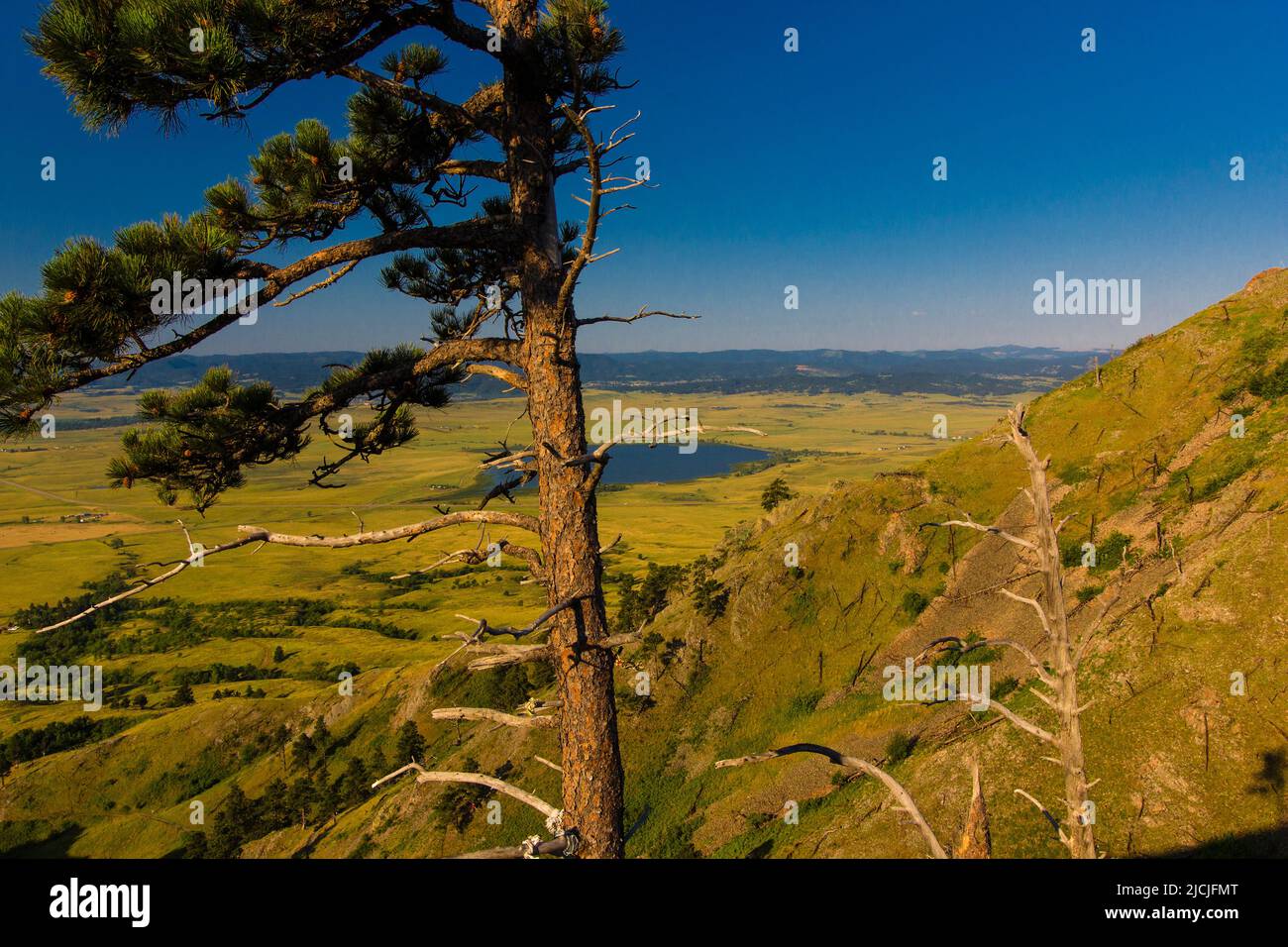 Bear Butte State Park in Summer, South Dakota Stock Photo - Alamy