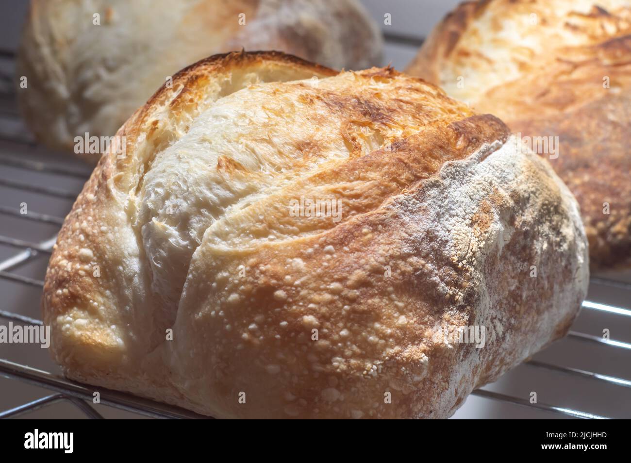 Italian bread with cheese in its pasta and natural fermentation Stock ...