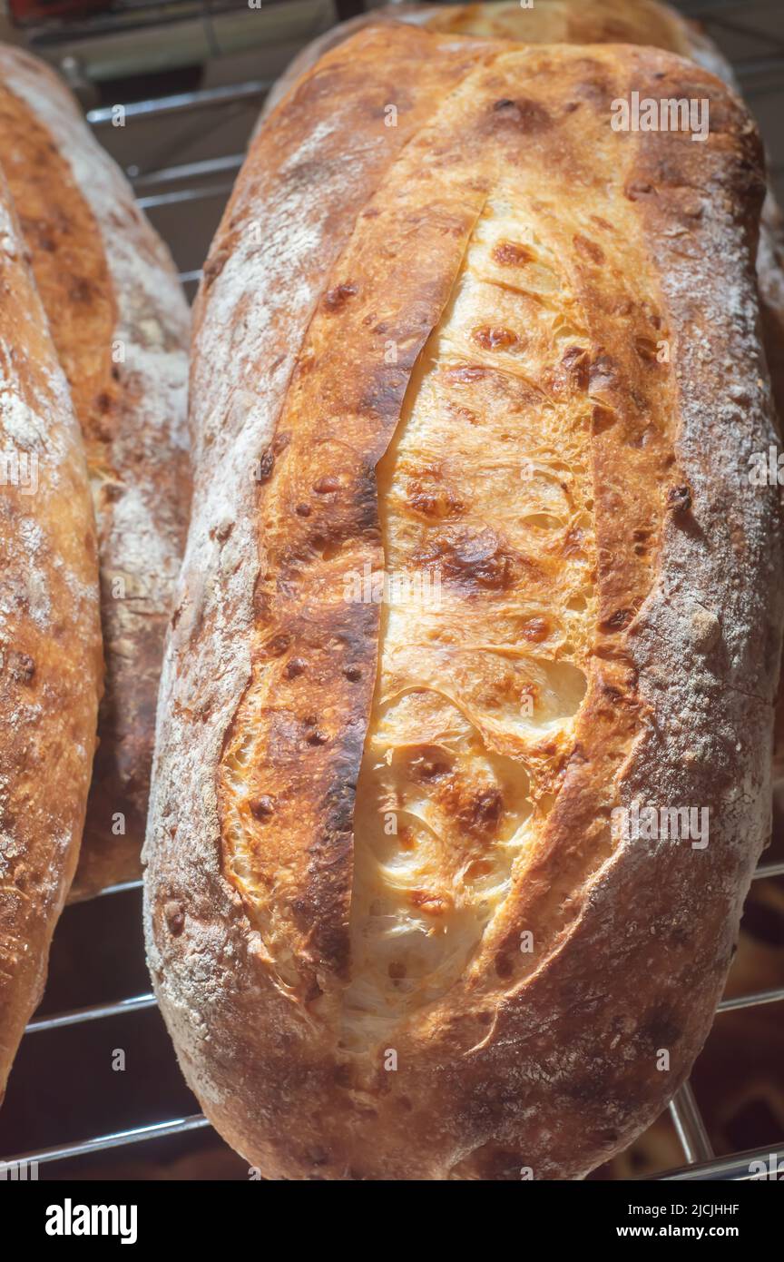Italian bread with cheese in its pasta and natural fermentation Stock ...