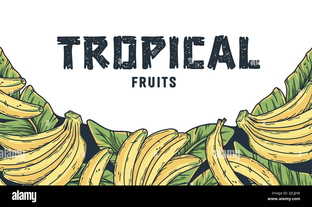 Hawaii nuts Stock Vector Images - Alamy