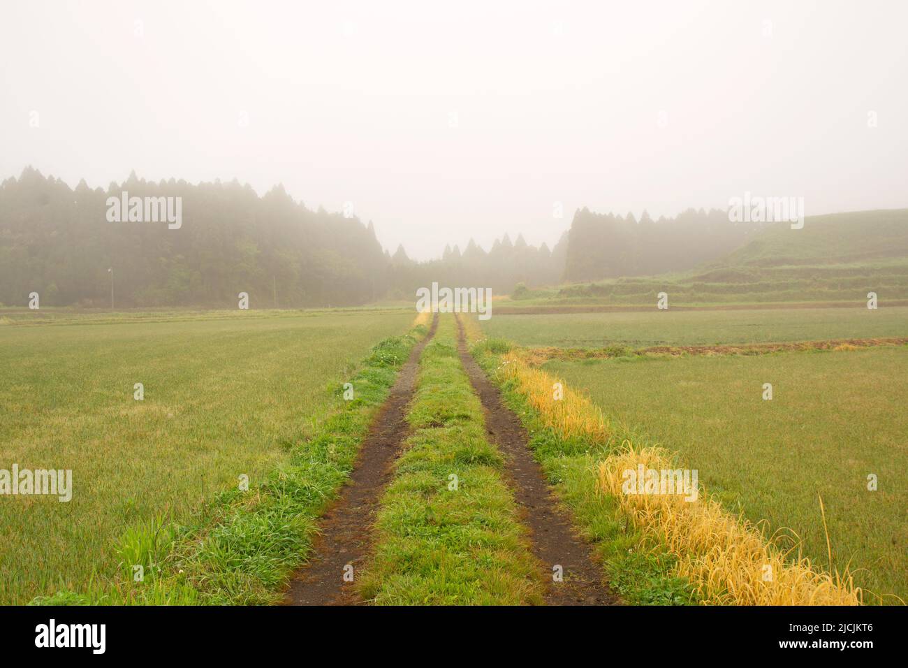 Sea of Clouds, Aso, Kyushu region, Japan Stock Photo - Alamy