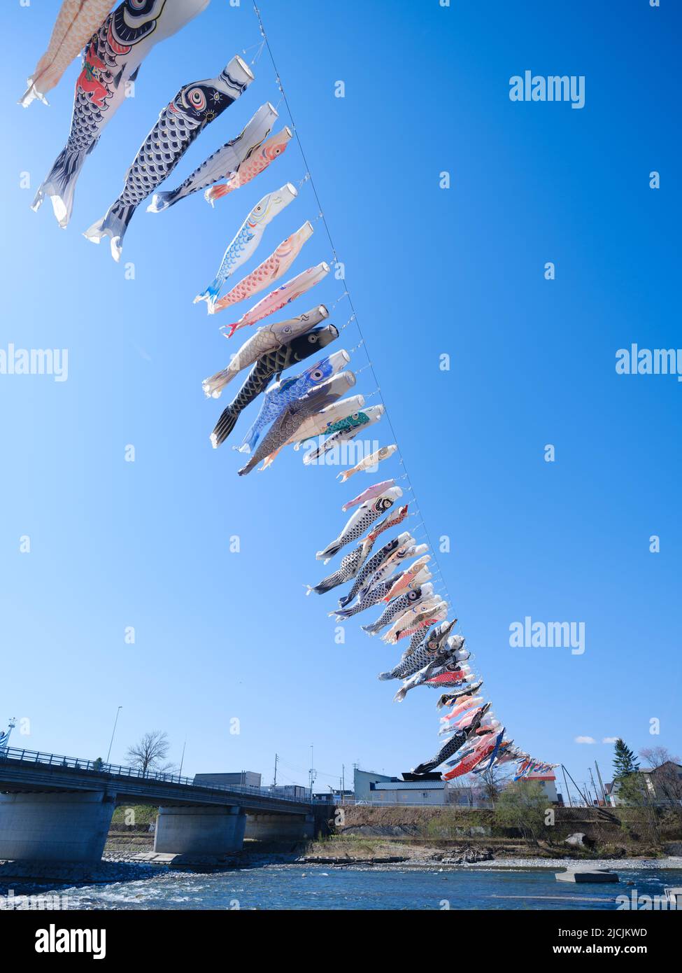 Streamer fish hi-res stock photography and images - Alamy