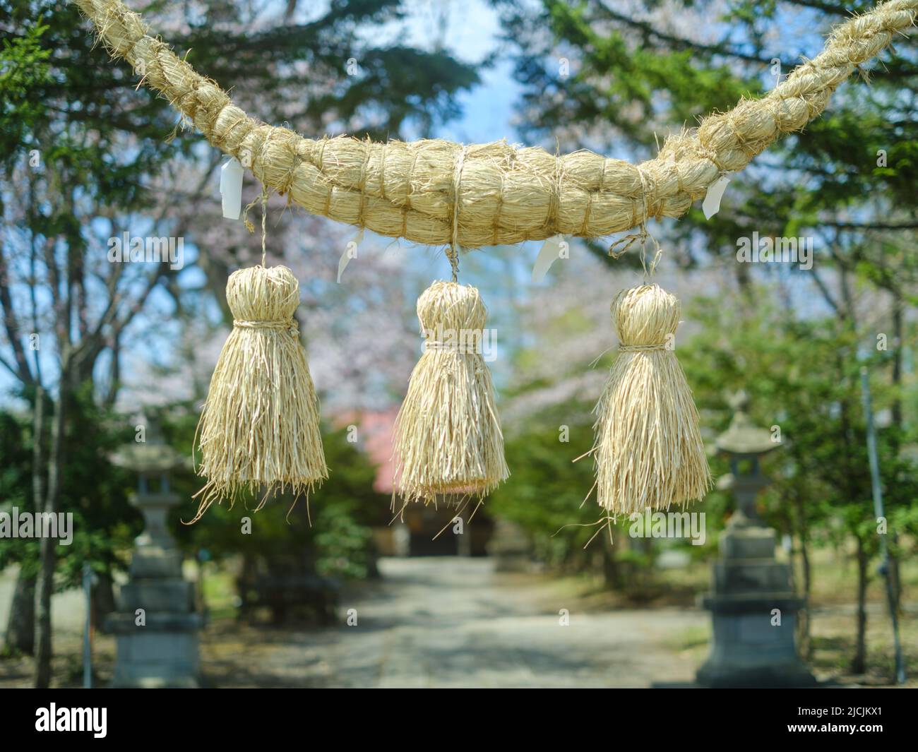 Torii gate with shimenawa hi-res stock photography and images - Alamy