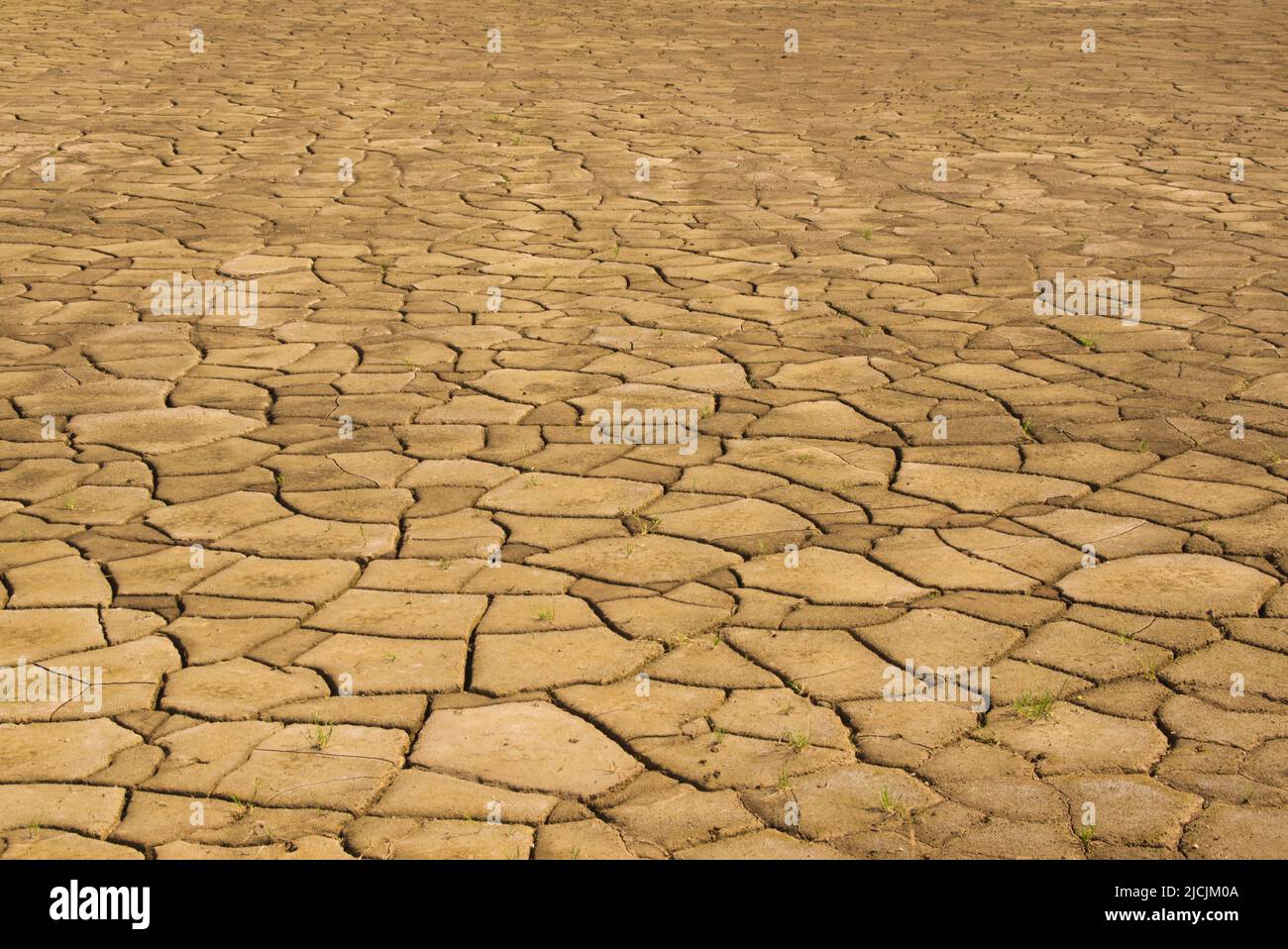 Dried up field cracked ground hi-res stock photography and images - Alamy