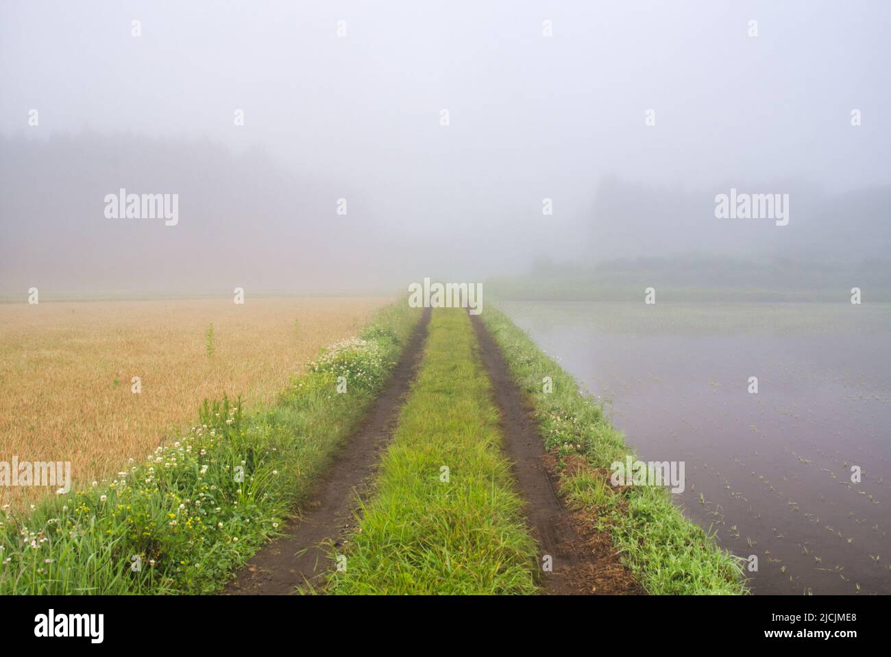 Sea of Clouds, Aso, Kyushu region, Japan Stock Photo - Alamy