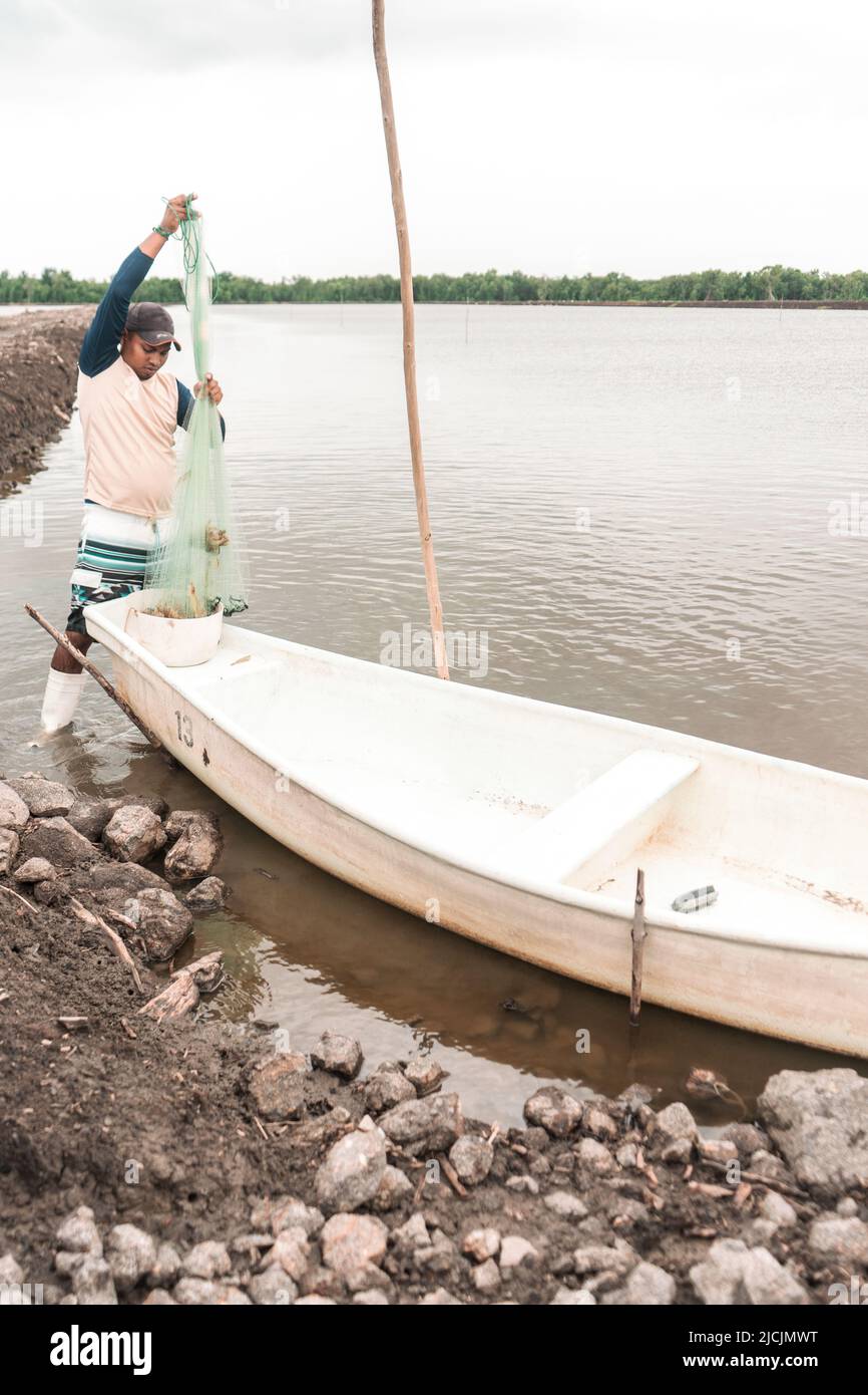 Shrimp farm latin america hi-res stock photography and images - Alamy