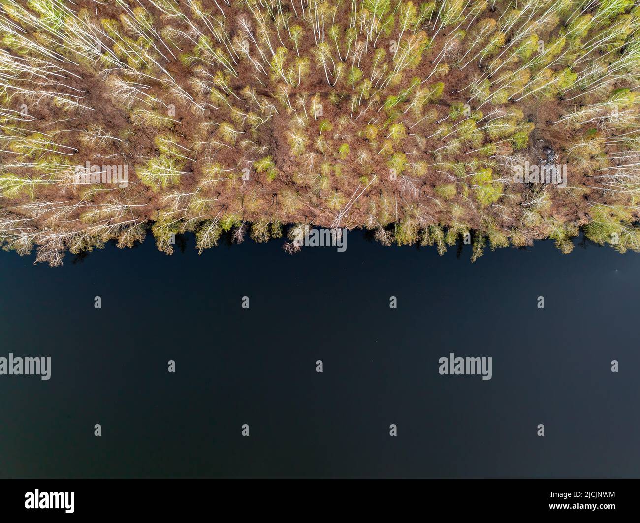 Aerial view of river shore with rocks and forest. Spring or autumn ...