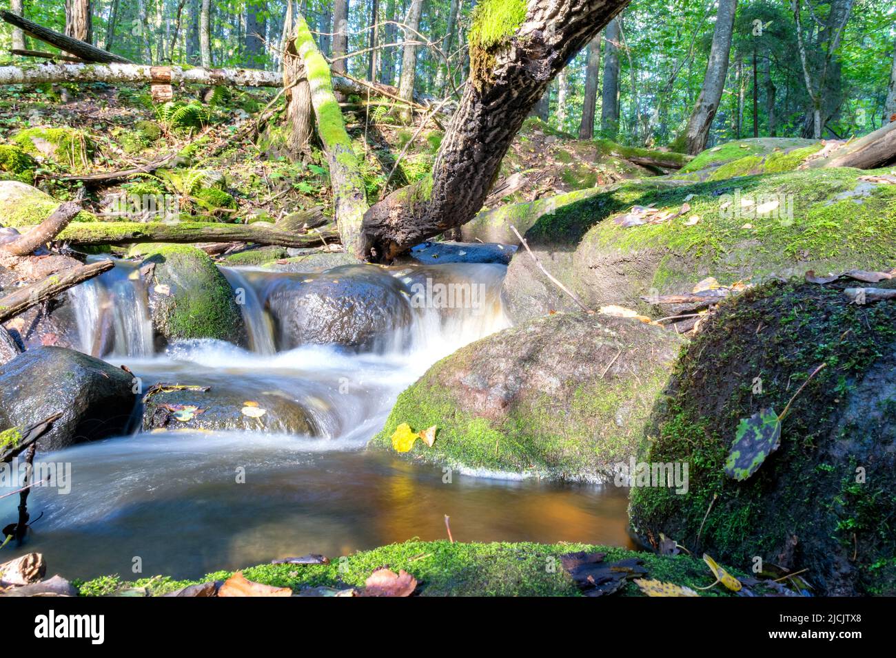 landscape with a small, wild and rapid river flow between the rocks ...