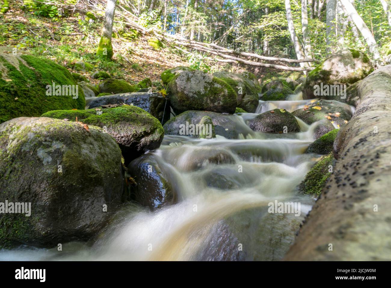 landscape with a small, wild and rapid river flow between the rocks ...