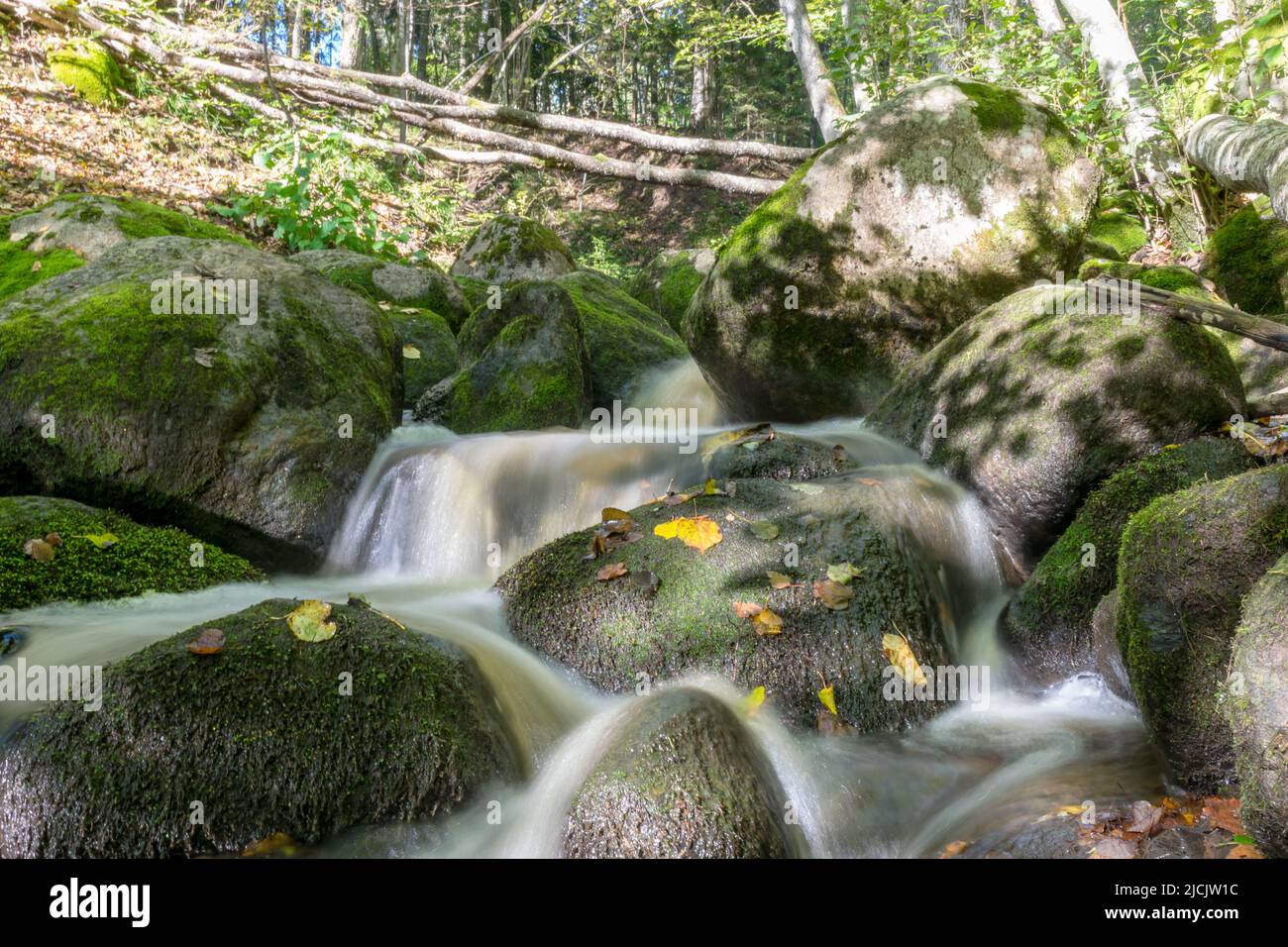 landscape with a small, wild and rapid river flow between the rocks ...