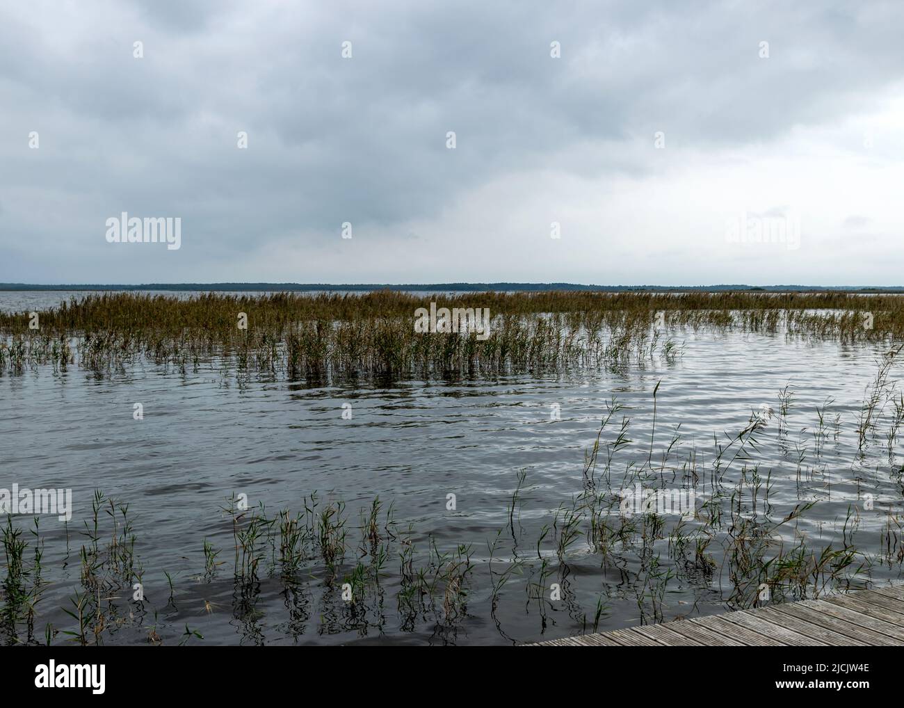 Engure lake nature park hi-res stock photography and images - Alamy