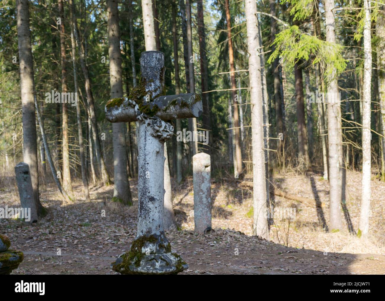 concrete pole fence stakes in an old and abandoned church park, early ...