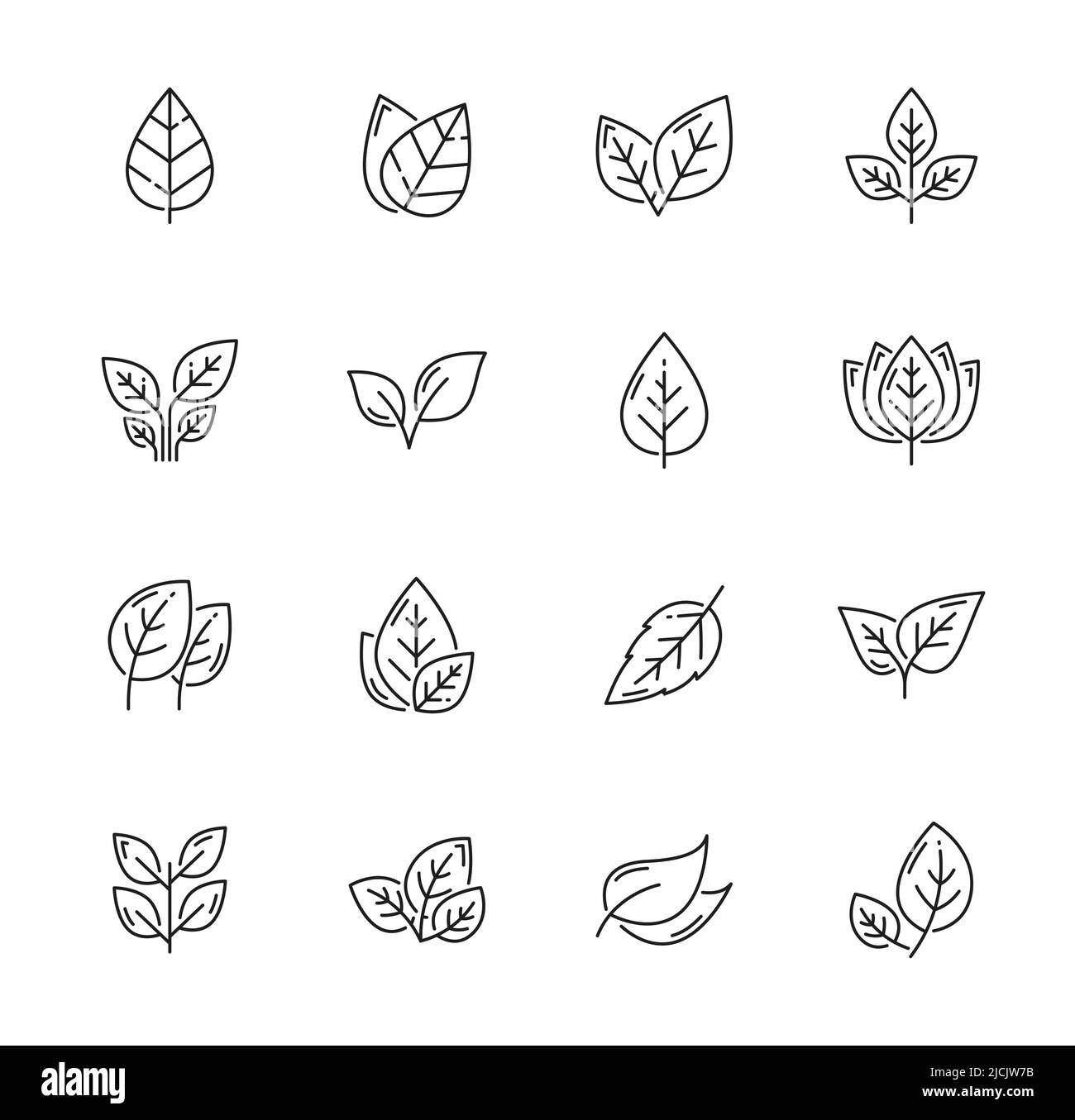 Linear leaf icons, tree plant or nature leaves vector outline symbols ...