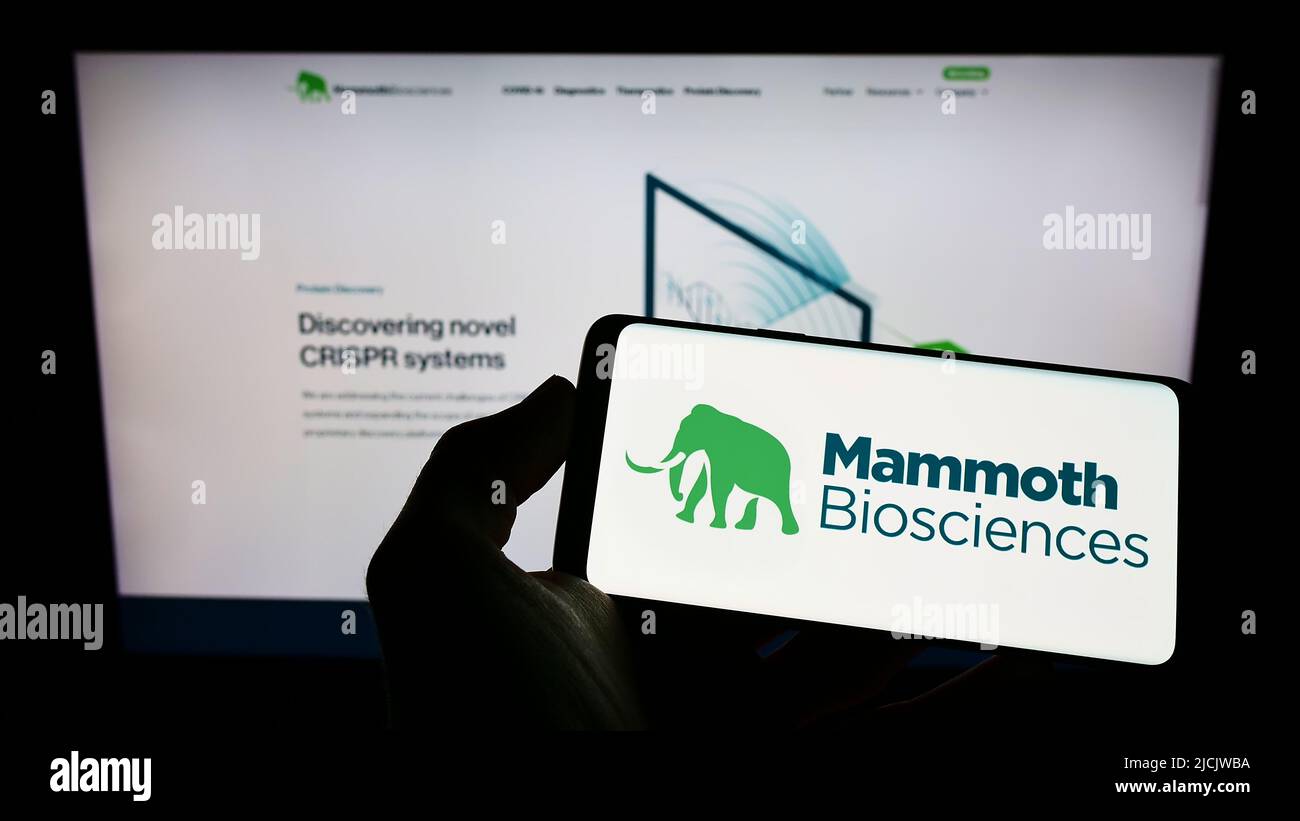 Mammoth logo hi-res stock photography and images - Alamy