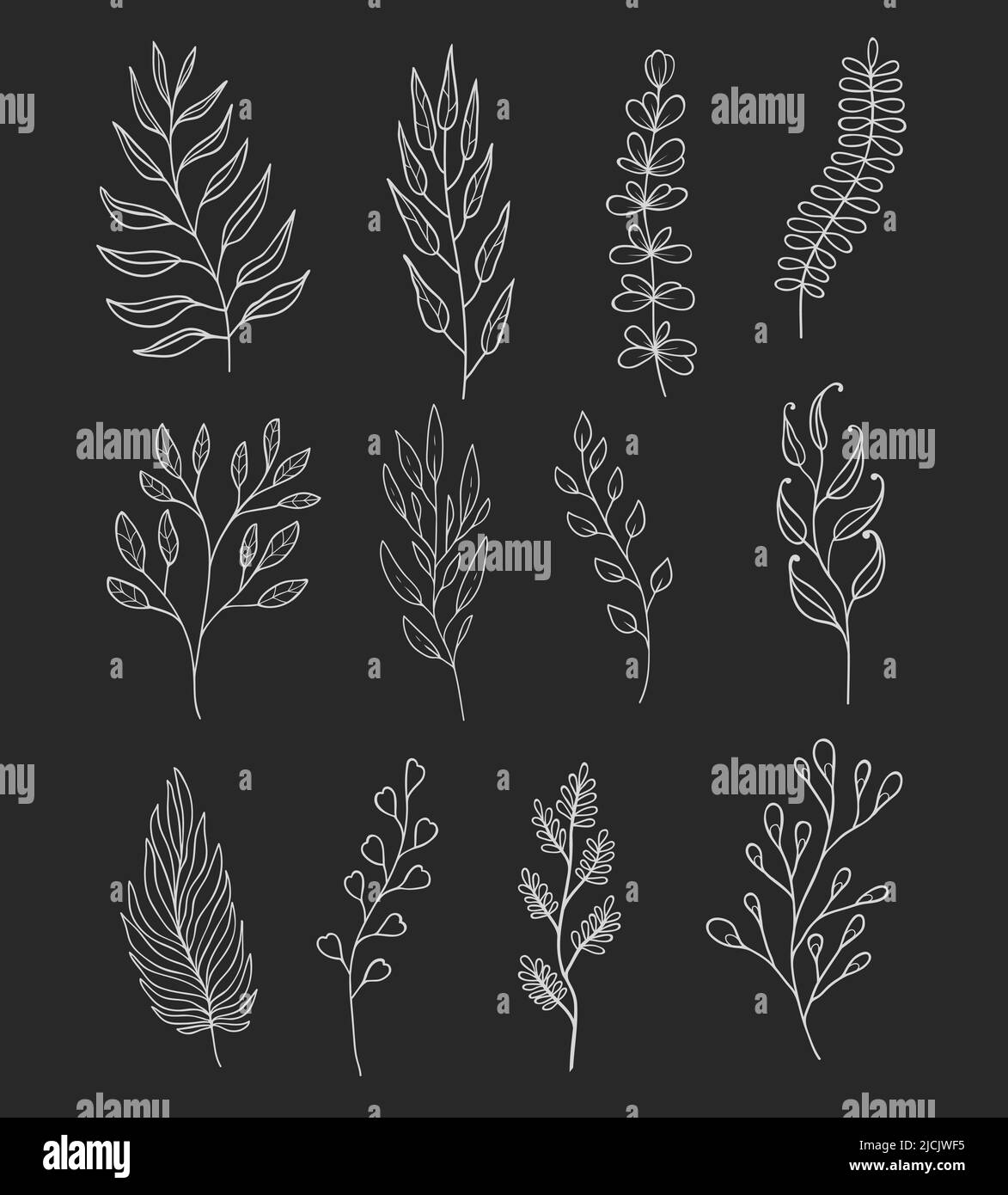 Outline twigs and sprigs, floral embellishments of plants leaves ...