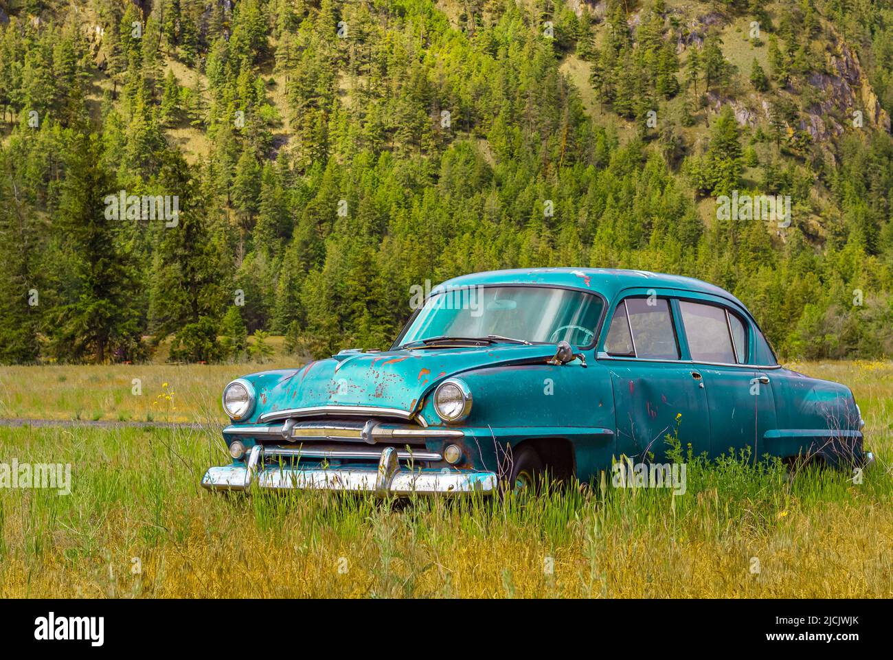 Abandoned rustic car on the hill in summer park in Canada. Vintage old ...