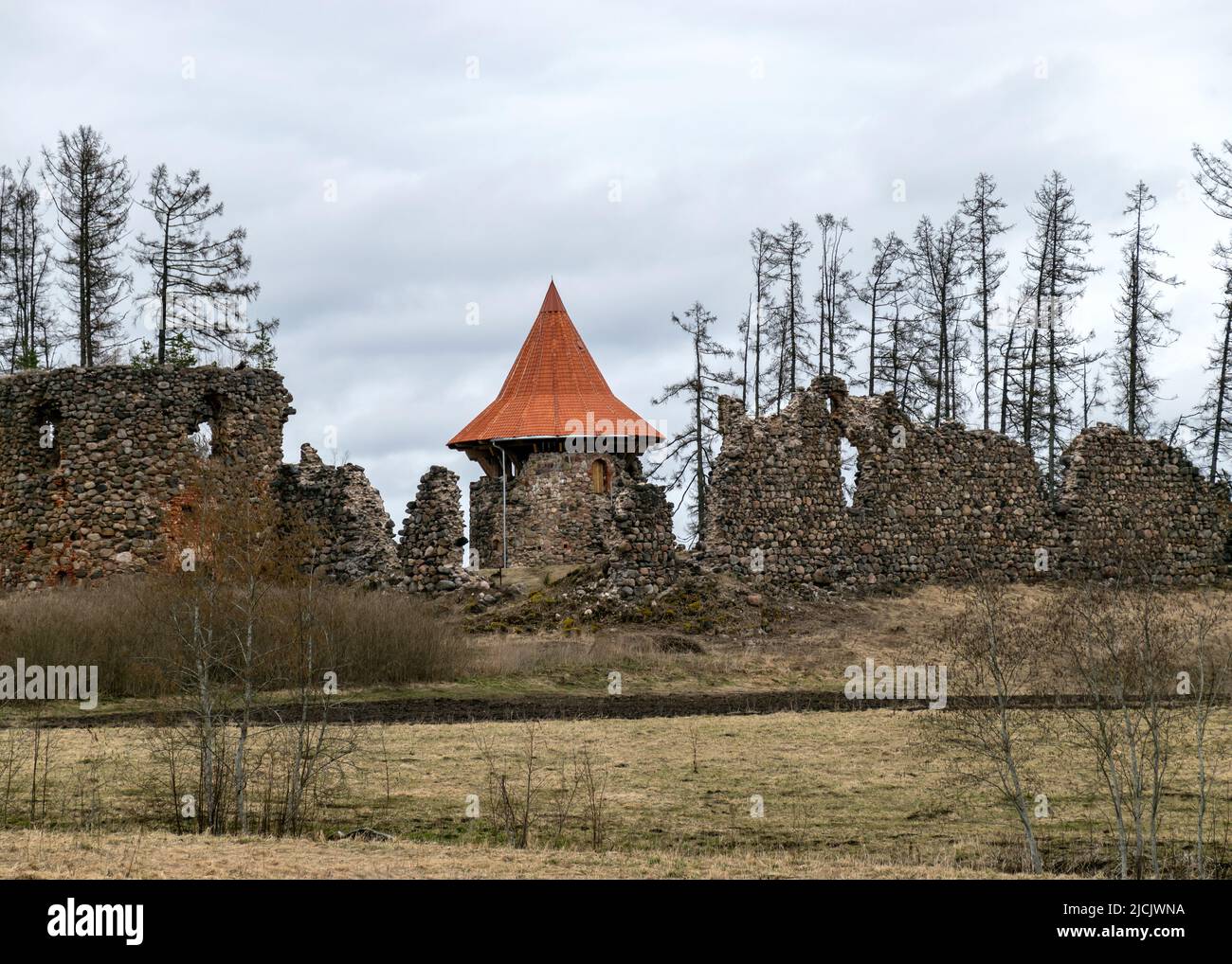 early spring landscape with a view of the castle ruins, the new bright ...