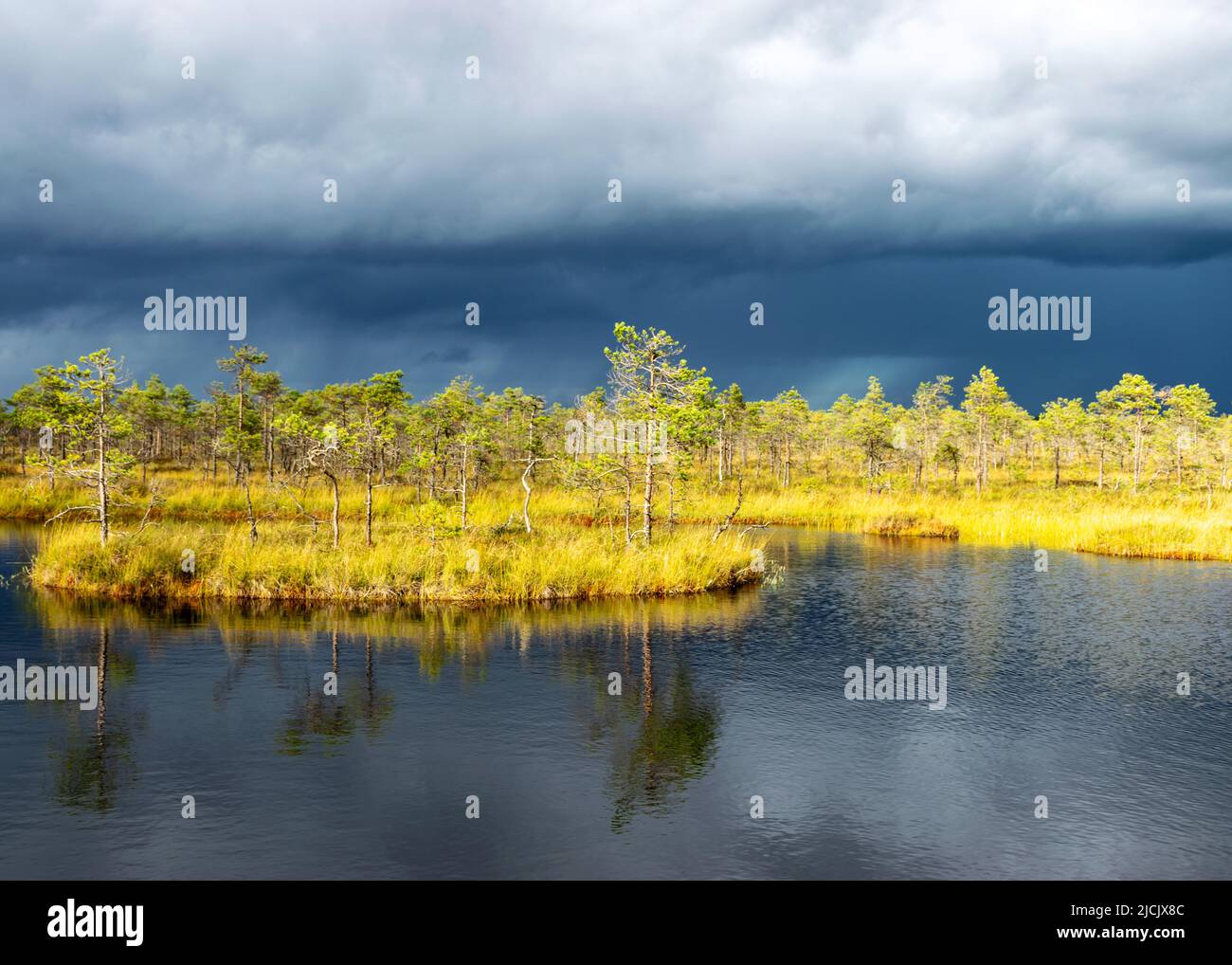Dramatic clouds on the horizon, beautifu bog landscape before the storm ...