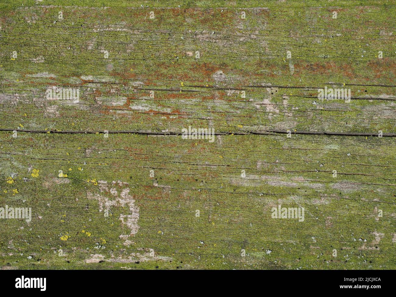 green weathered wood texture with moss useful as a background Stock ...