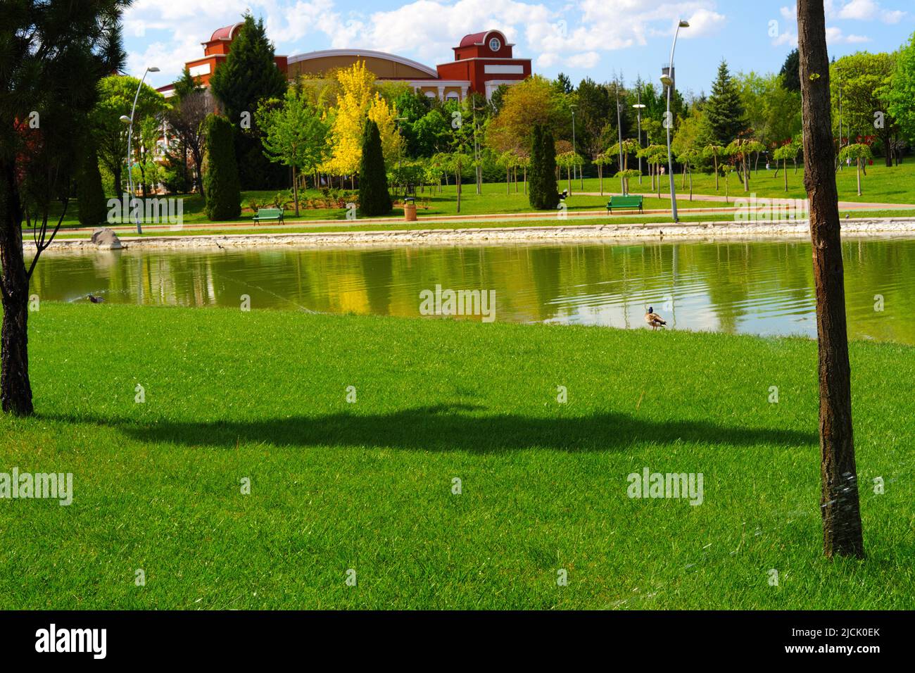 Green grass at waterside with blue sky and white clouds Stock Photo - Alamy