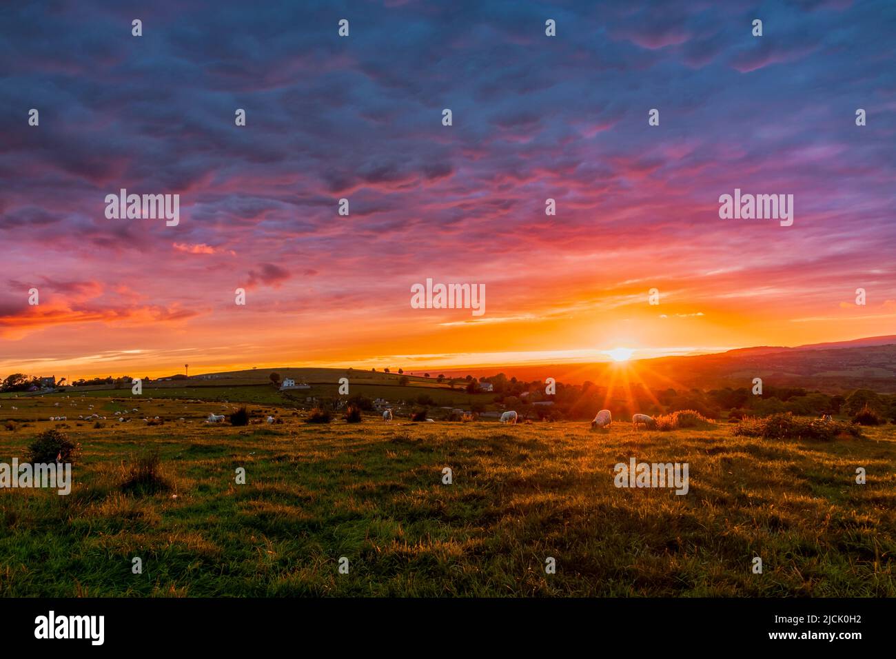 Summer sunset in countryside hi-res stock photography and images - Alamy