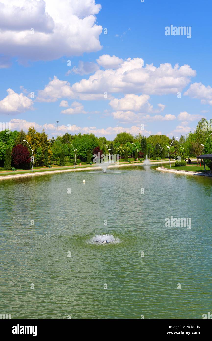 Meadow riverside forest hi-res stock photography and images - Alamy