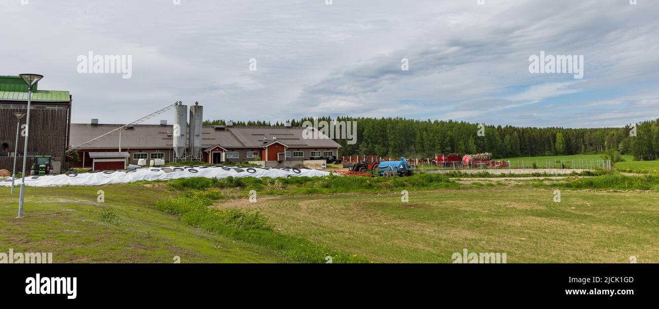 Dairy farming finland hi-res stock photography and images - Alamy