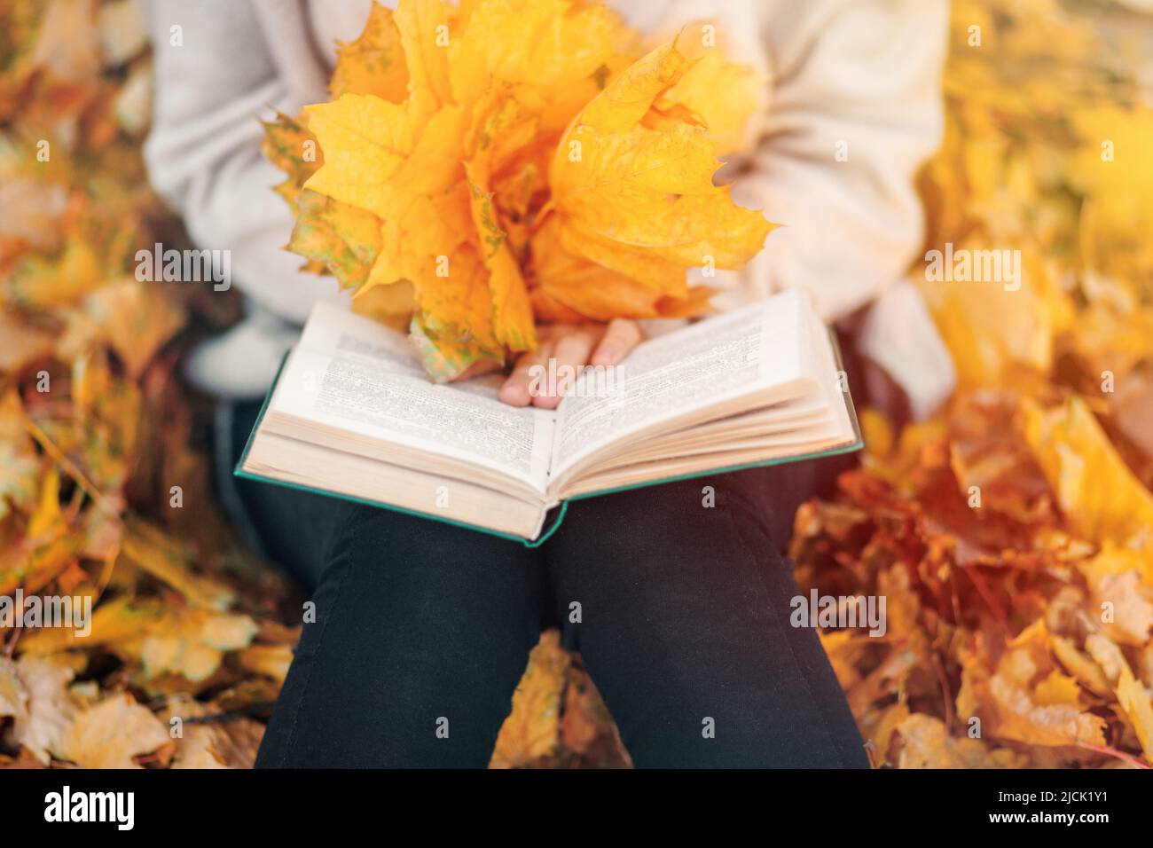 Close-up top view on an autumn bouquet of yellow leaves and a book on a ...