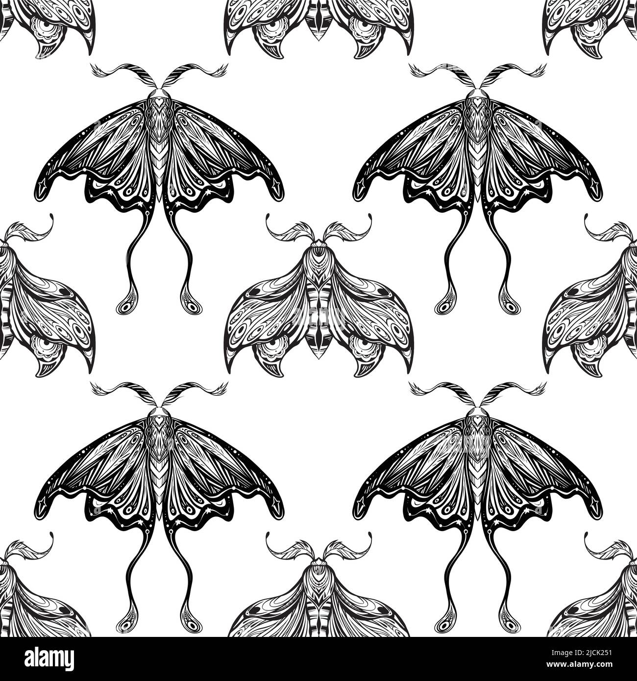 Vector seamless pattern with drawing night butterfly with boho ...