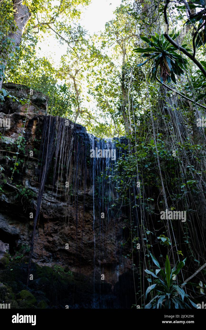 Paradise Lost In Kiambu County Kenya East Africa Stock Photo - Alamy