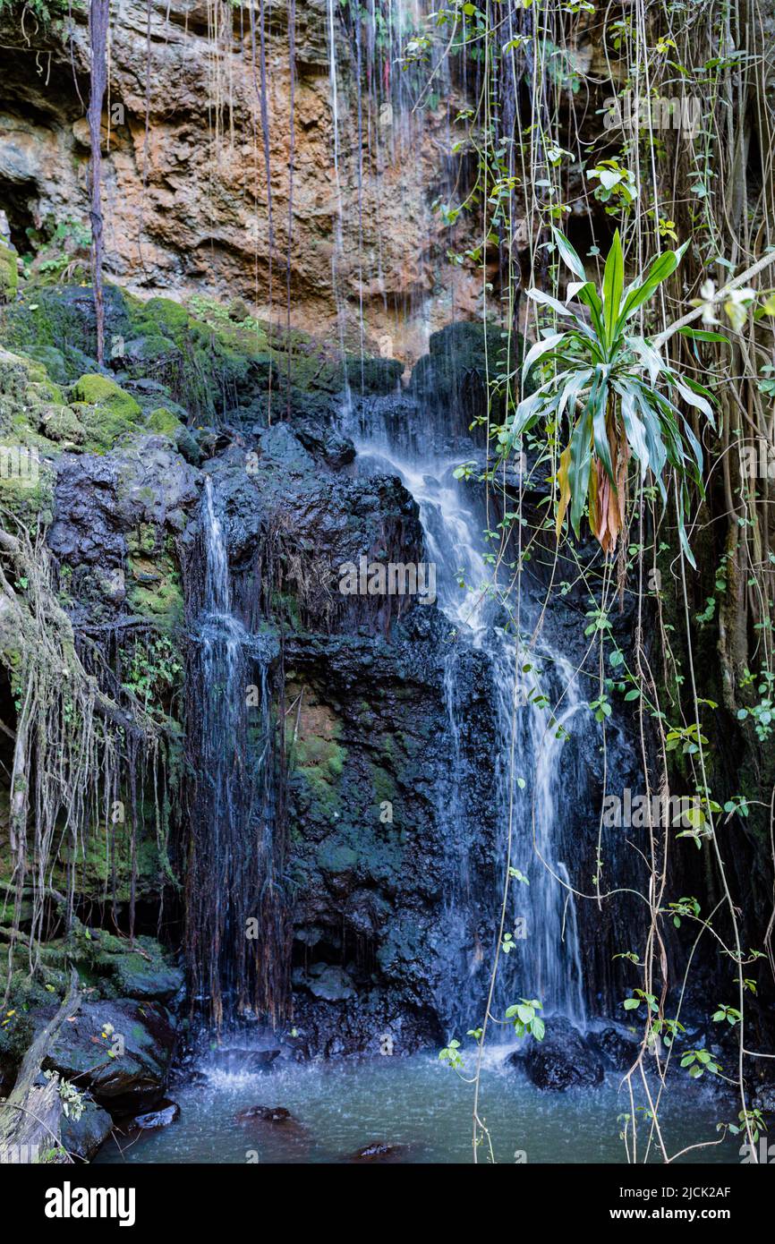Paradise Lost In Kiambu County Kenya East Africa Stock Photo - Alamy