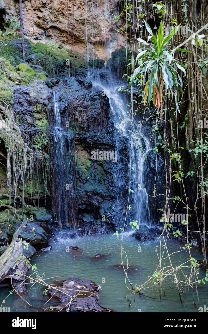 Paradise Lost In Kiambu County Kenya East Africa Stock Photo - Alamy