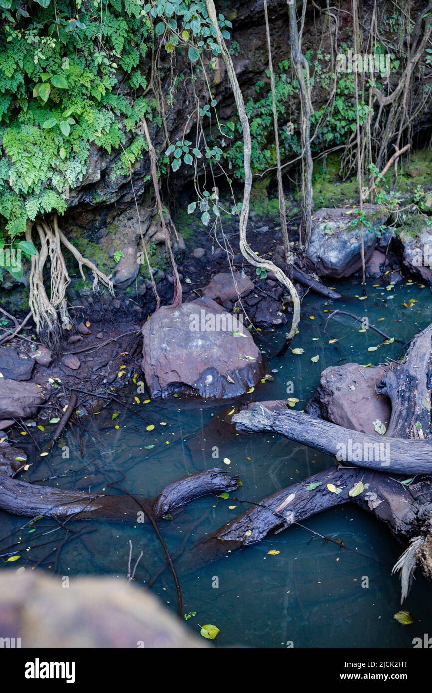 Paradise Lost In Kiambu County Kenya East Africa Stock Photo - Alamy