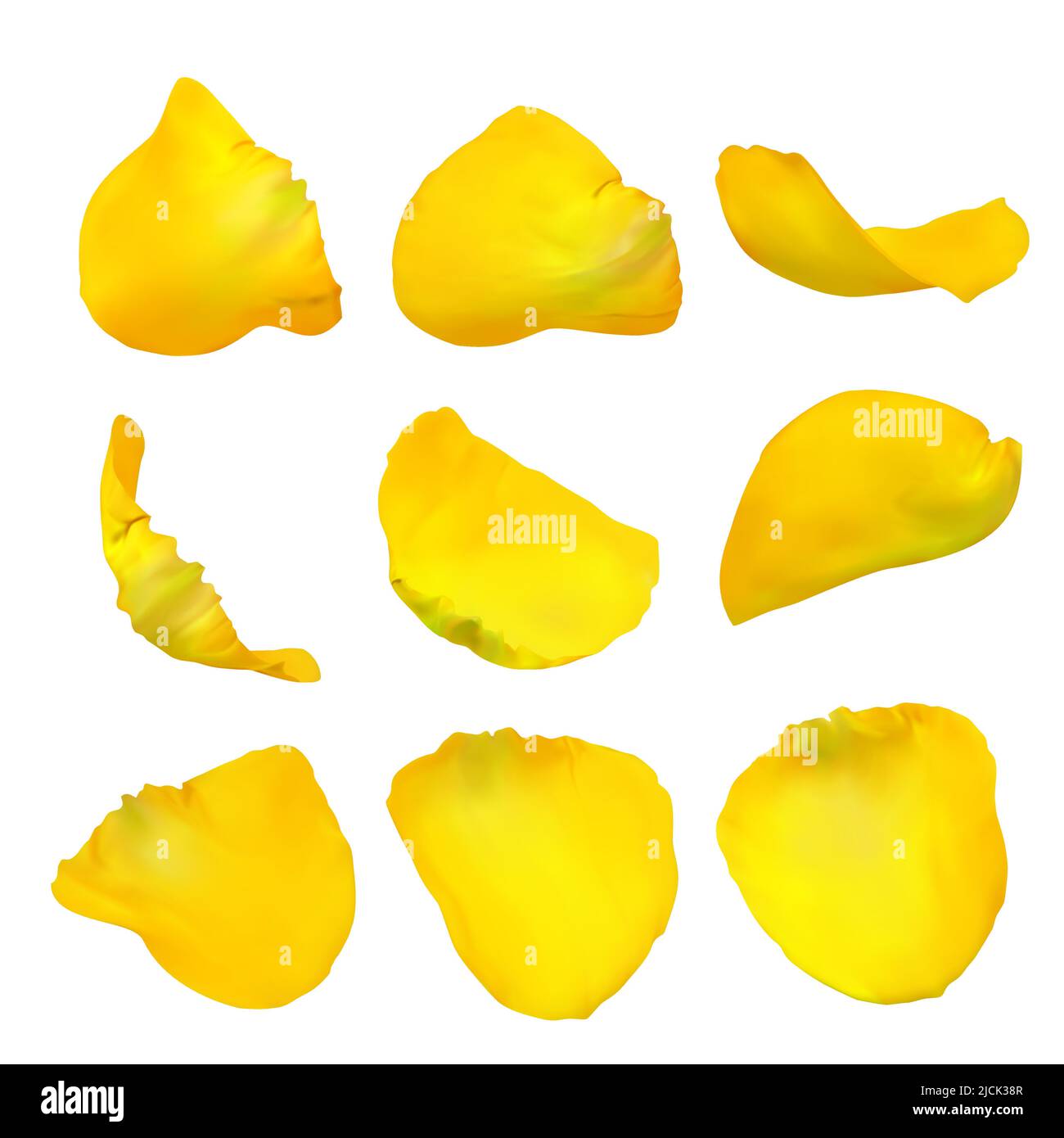 Realistic rose petals. Vector illustration with mesh gradients Stock ...