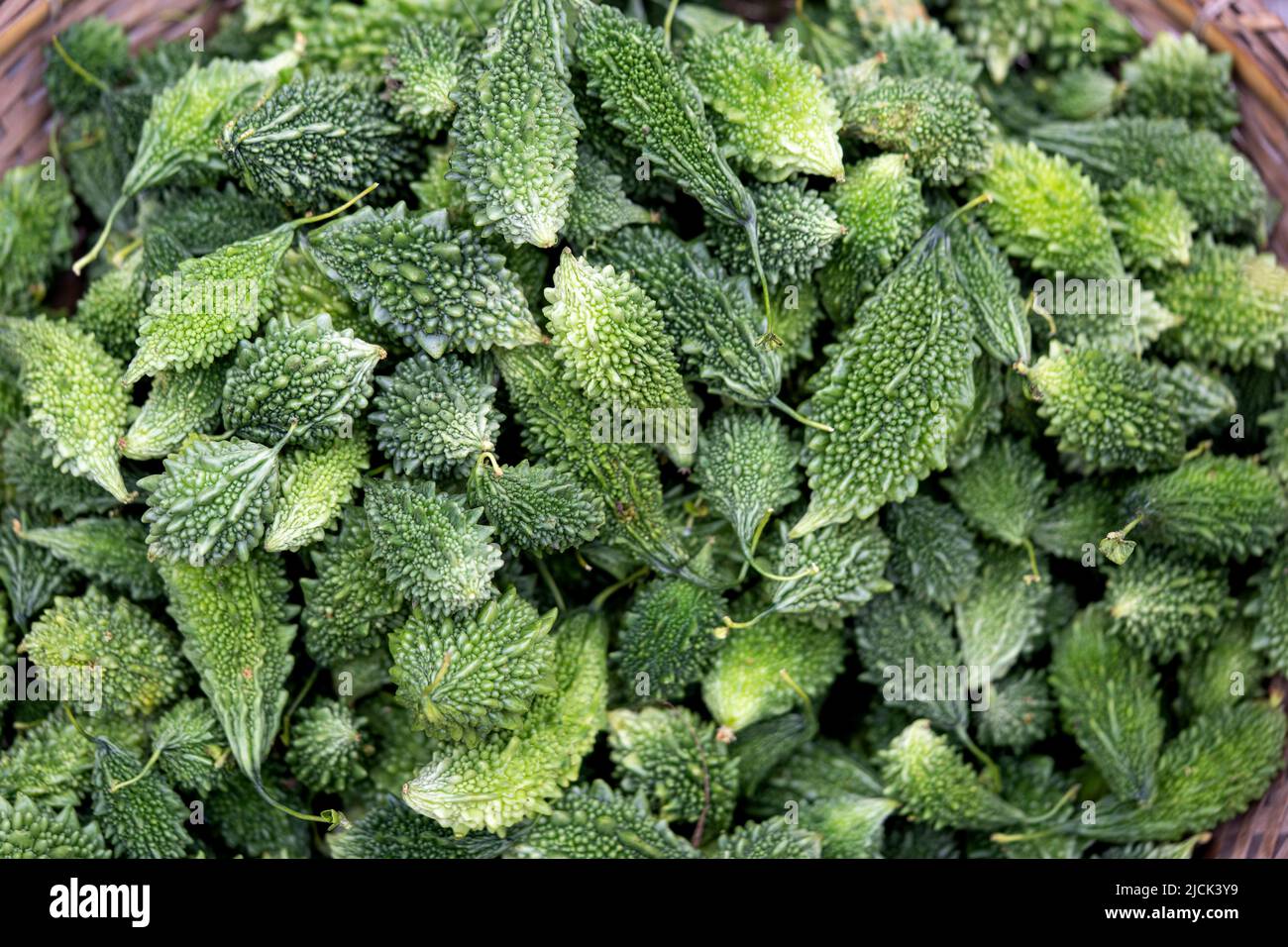 Fluted pumpkin texture hi-res stock photography and images - Alamy
