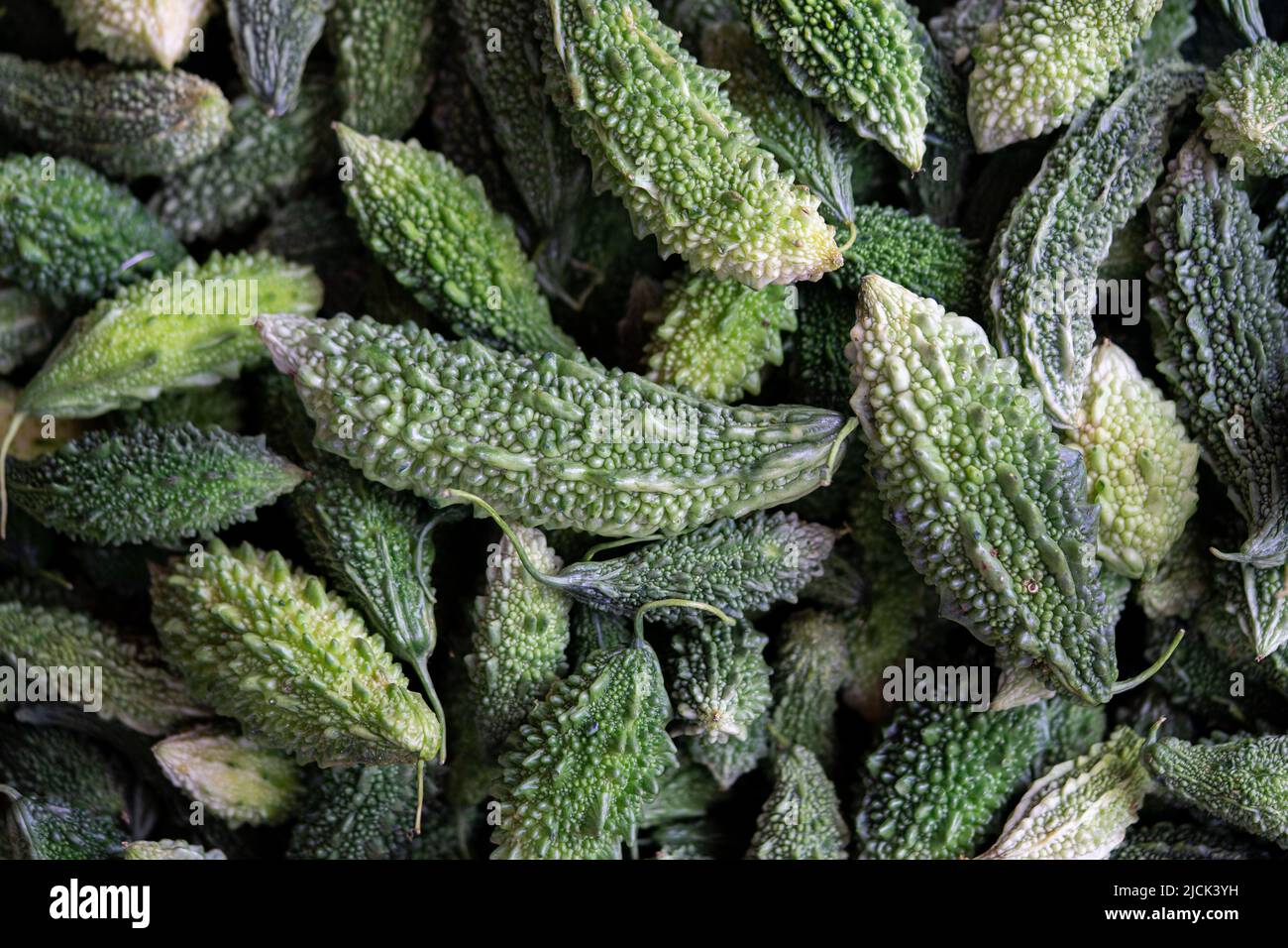 Green Bitter in Corolla vegetables Healthy Food Stock Photo - Alamy
