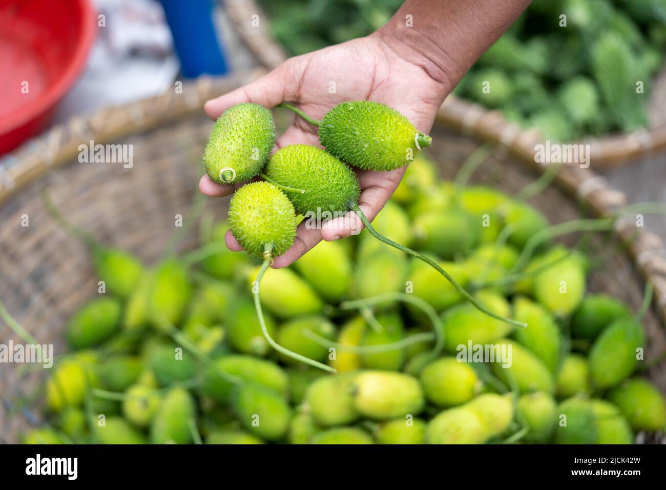 Kakrol seeds hi-res stock photography and images - Alamy