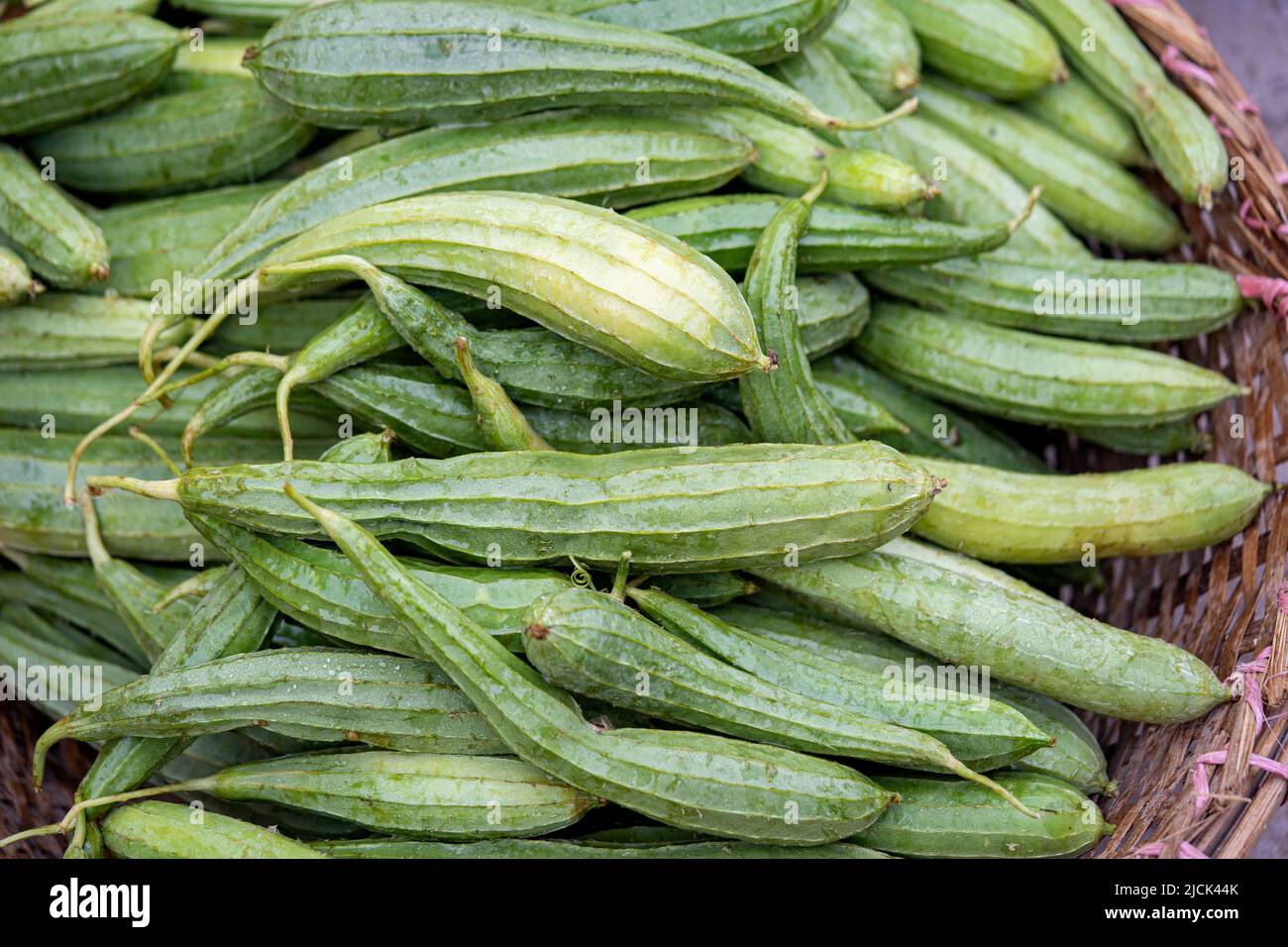 fresh luffa in market new Stock Photo - Alamy