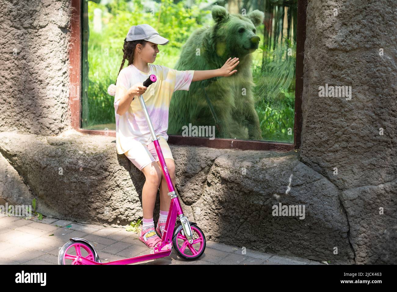 Cute little girl watching animals at the zoo on warm and sunny summer ...