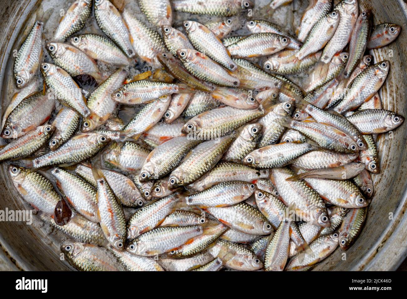 Fishing putti hi-res stock photography and images - Alamy