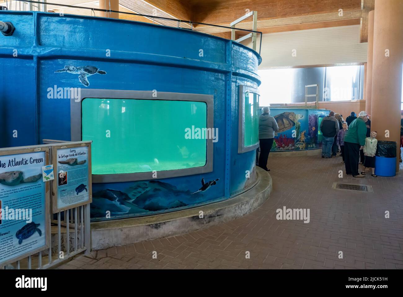 Large tanks with sea turtles at Sea Turtle Inc., a rescue and ...
